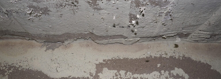 Is Asbestos Mold? - The Law Offices of Justinian C. Lane, Esq. – PLLC